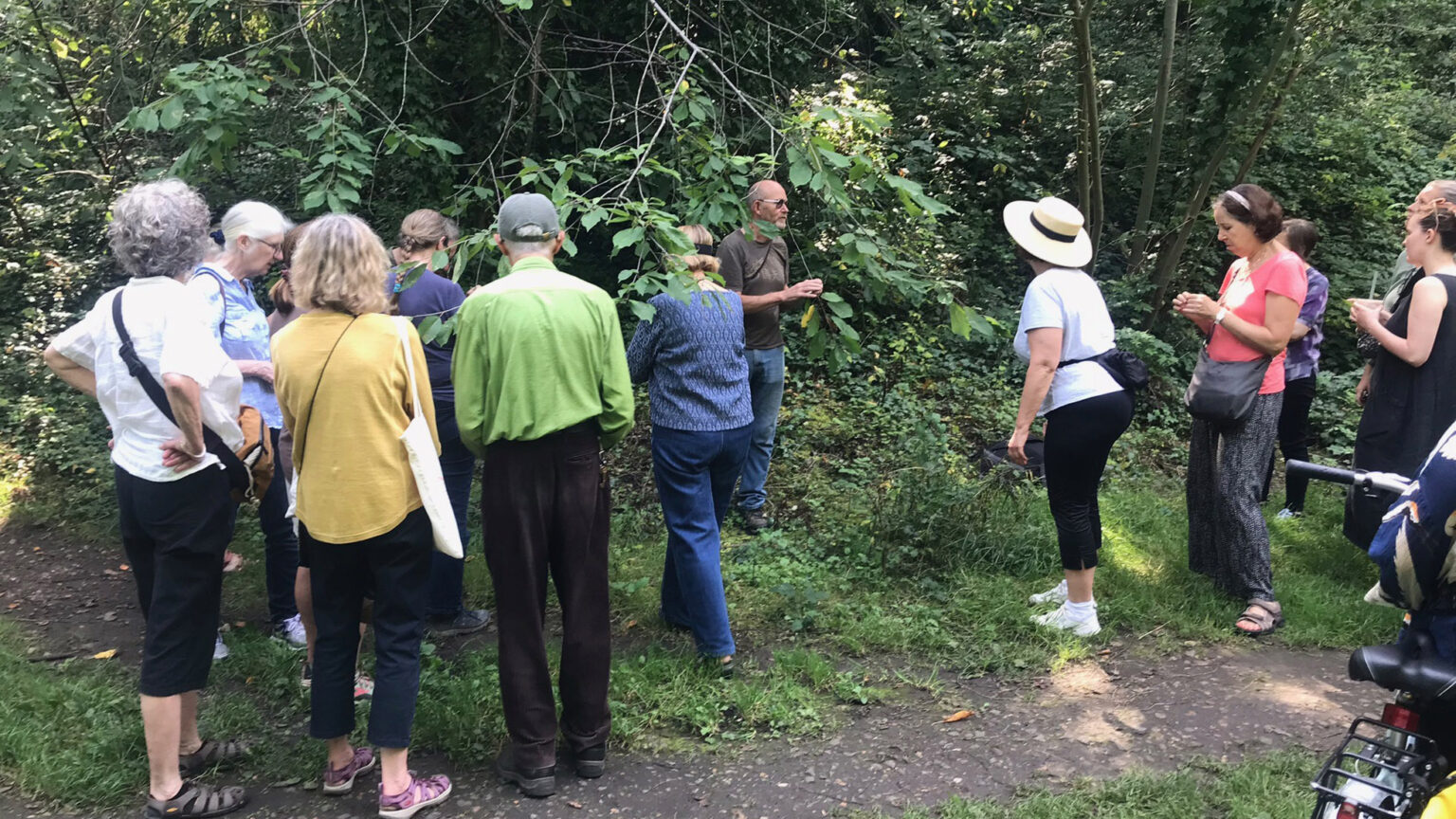 Guided Tree Walk – FRIENDS OF THE PARKLAND WALK